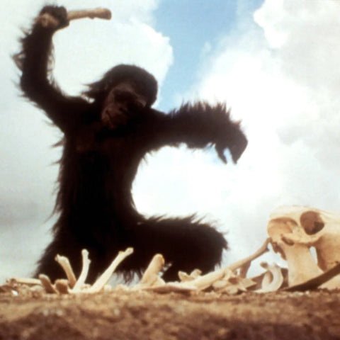 A New Theory of Humanity's Origins