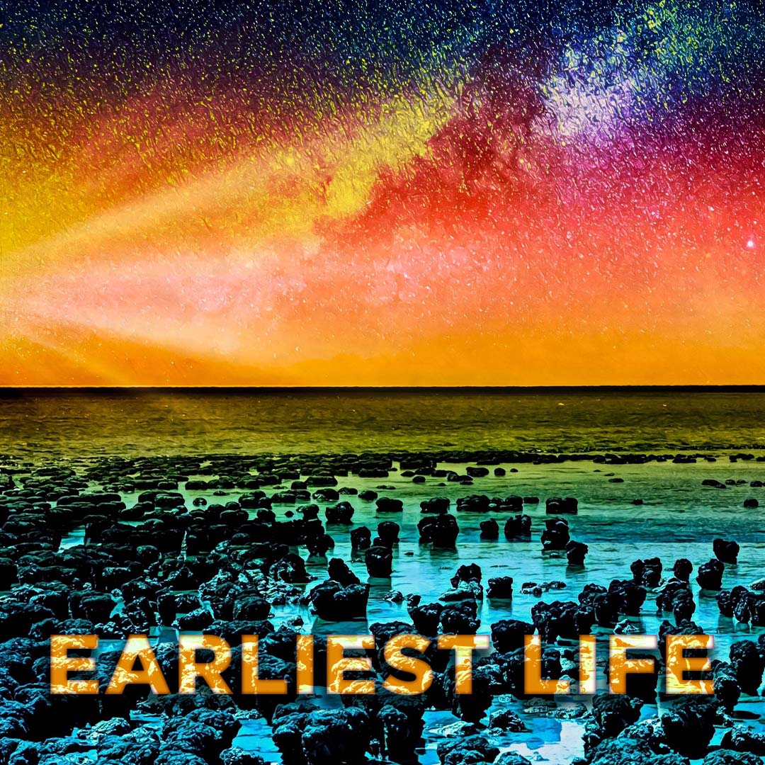 Earliest Life - Mini Museum