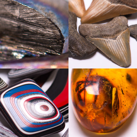 Rare Specimens from Mini Museum