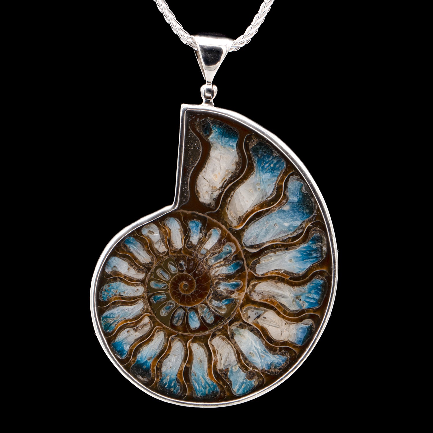 Ammonite necklace store