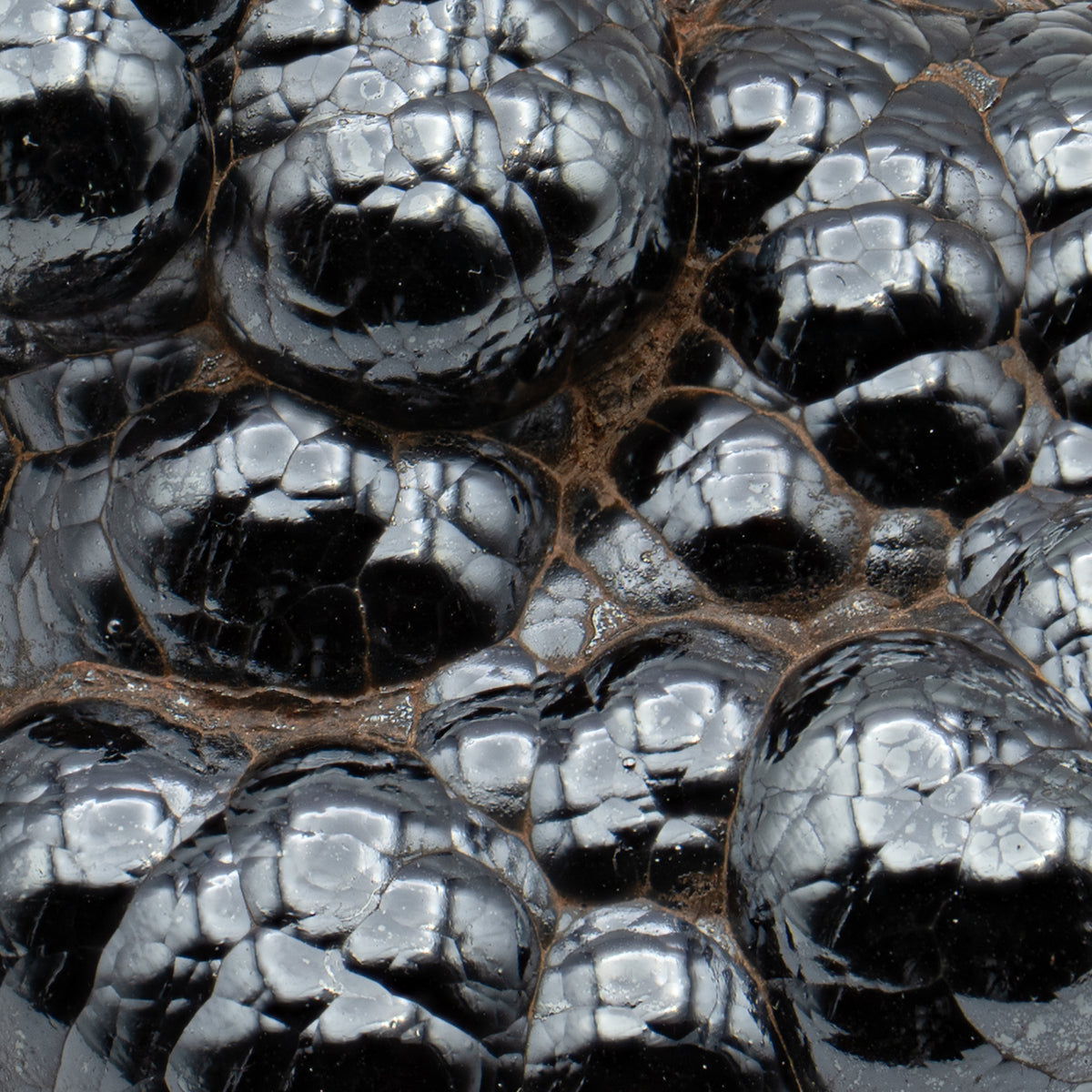 Polished Botryoidal Hematite - 3.08"