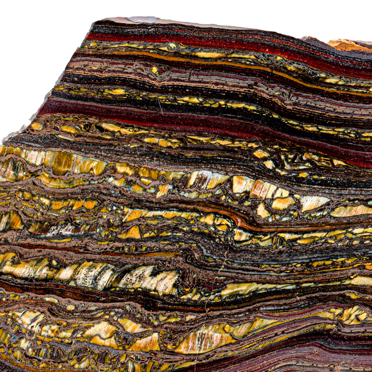 The Great Oxygenation Event The Earths First Mass