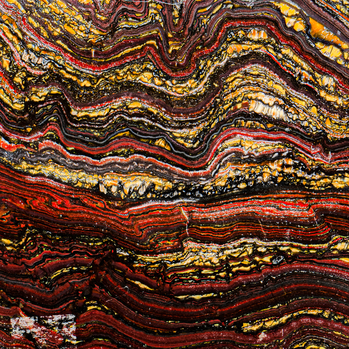 The Great Oxygenation Event The Earths First Mass