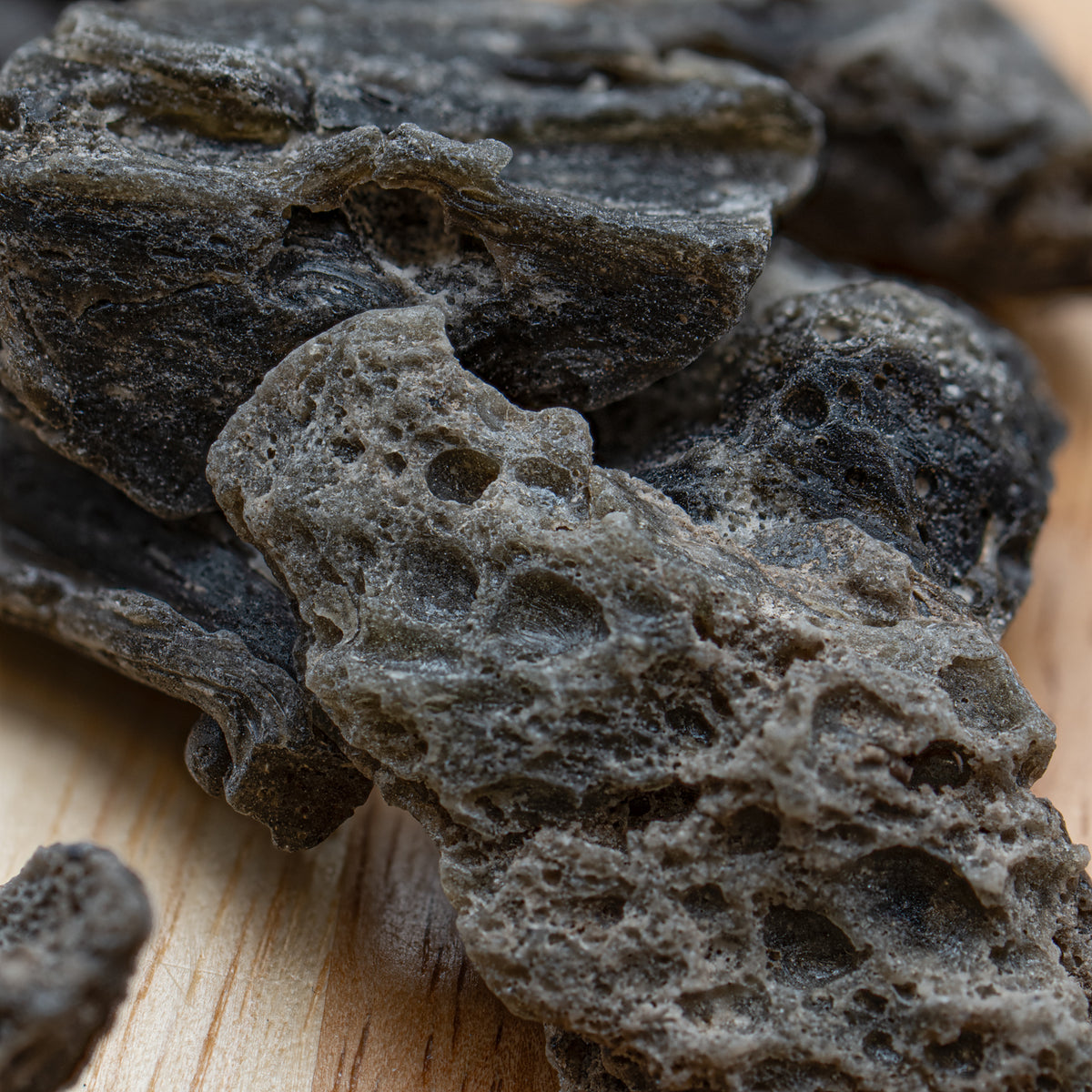 Darwin Glass Collectible Specimen - Mini Museum