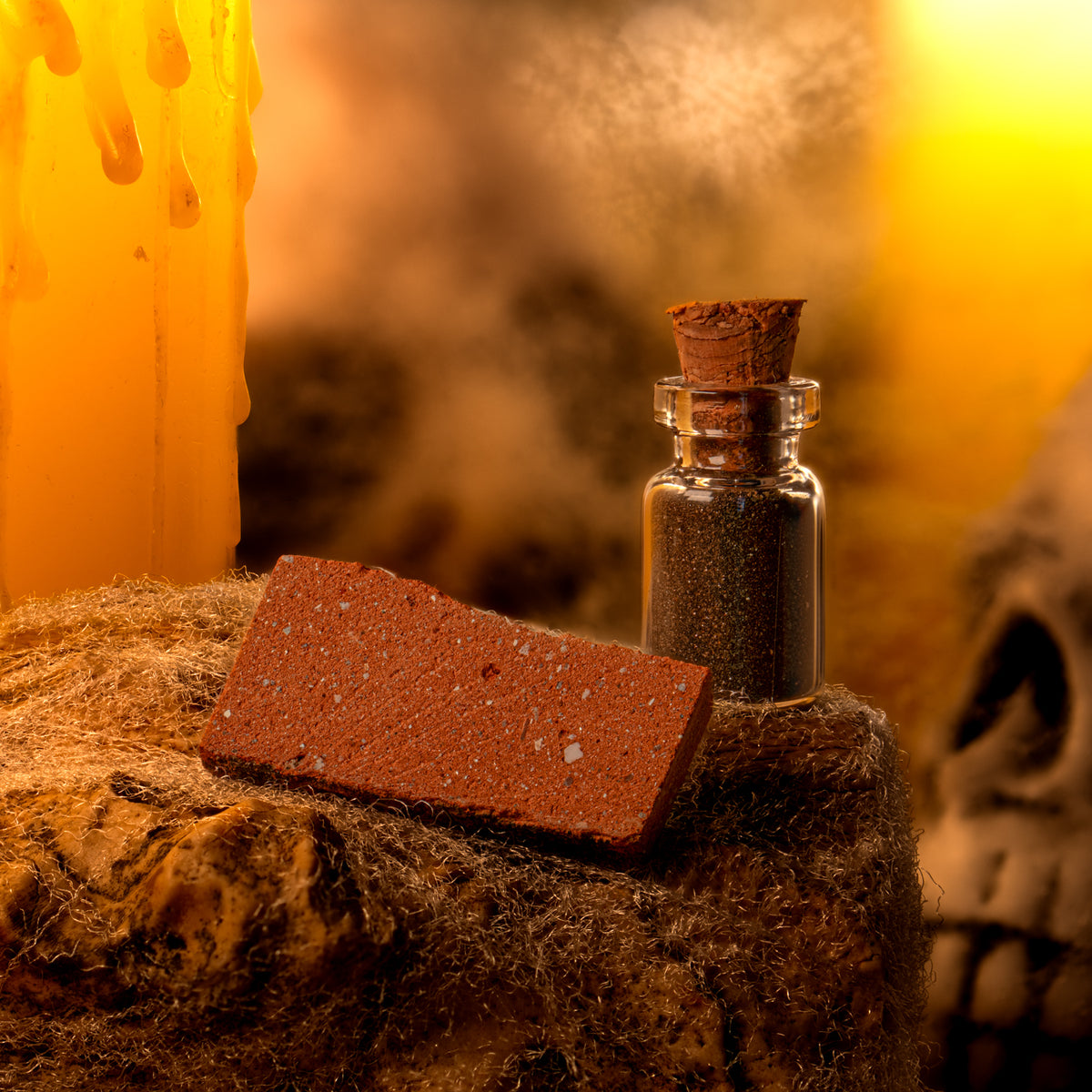 Dracula Halloween Bundle