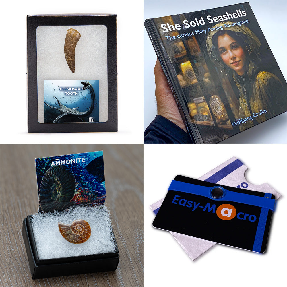Mary Anning's Fossil Discovery Bundle - Authentic Fossils - Magnifying ...