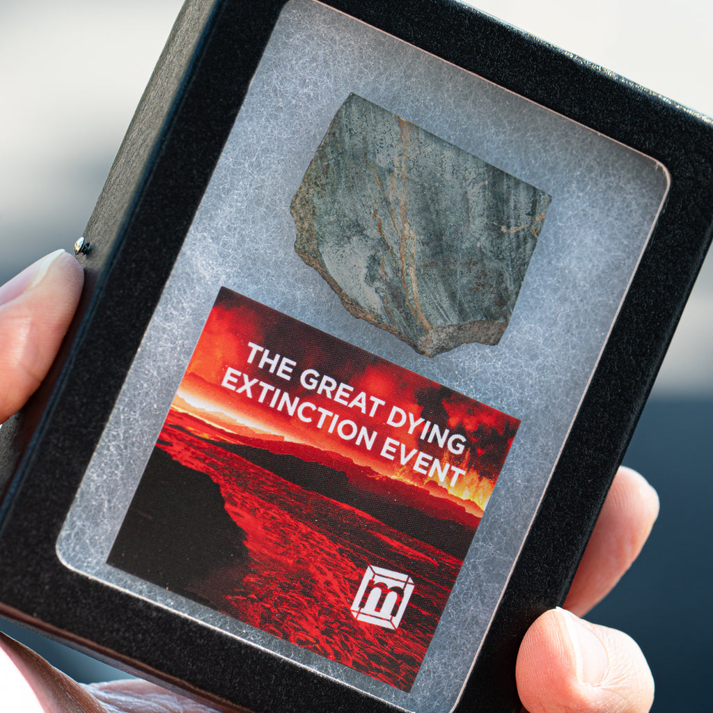 The Great Dying: Permian-Triassic Extinction Event