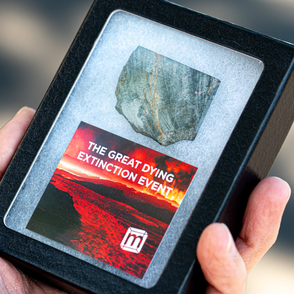 The Great Dying: Permian-Triassic Extinction Event