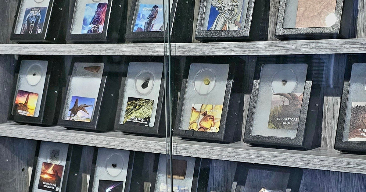 The Mini Museum Checklist Program!