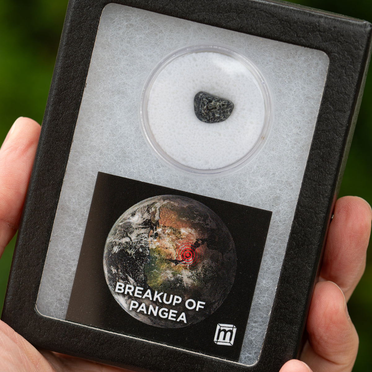 Break-Up of Pangea | Polished Diabase Fragment from the Central ...