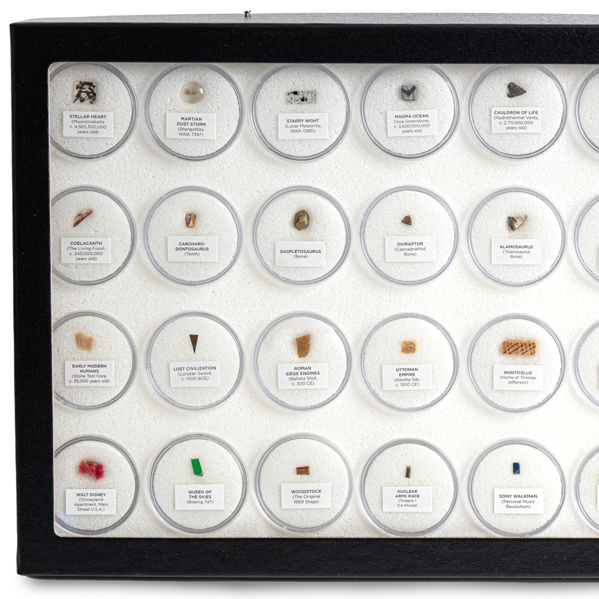 Mini Museum - Fifth Edition (TOUCH - 34 Specimens)