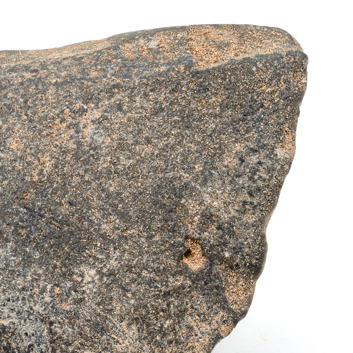 Late Neolithic Stone Tool 1.57" Celt Collectible Specimen - Mini Museum