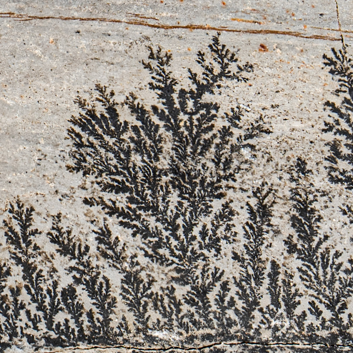 Dendrite Crystal Sandstone 2.97" Collectible Specimen - Mini Museum