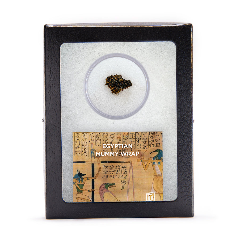 Egyptian Mummy Wrap - Mini Museum