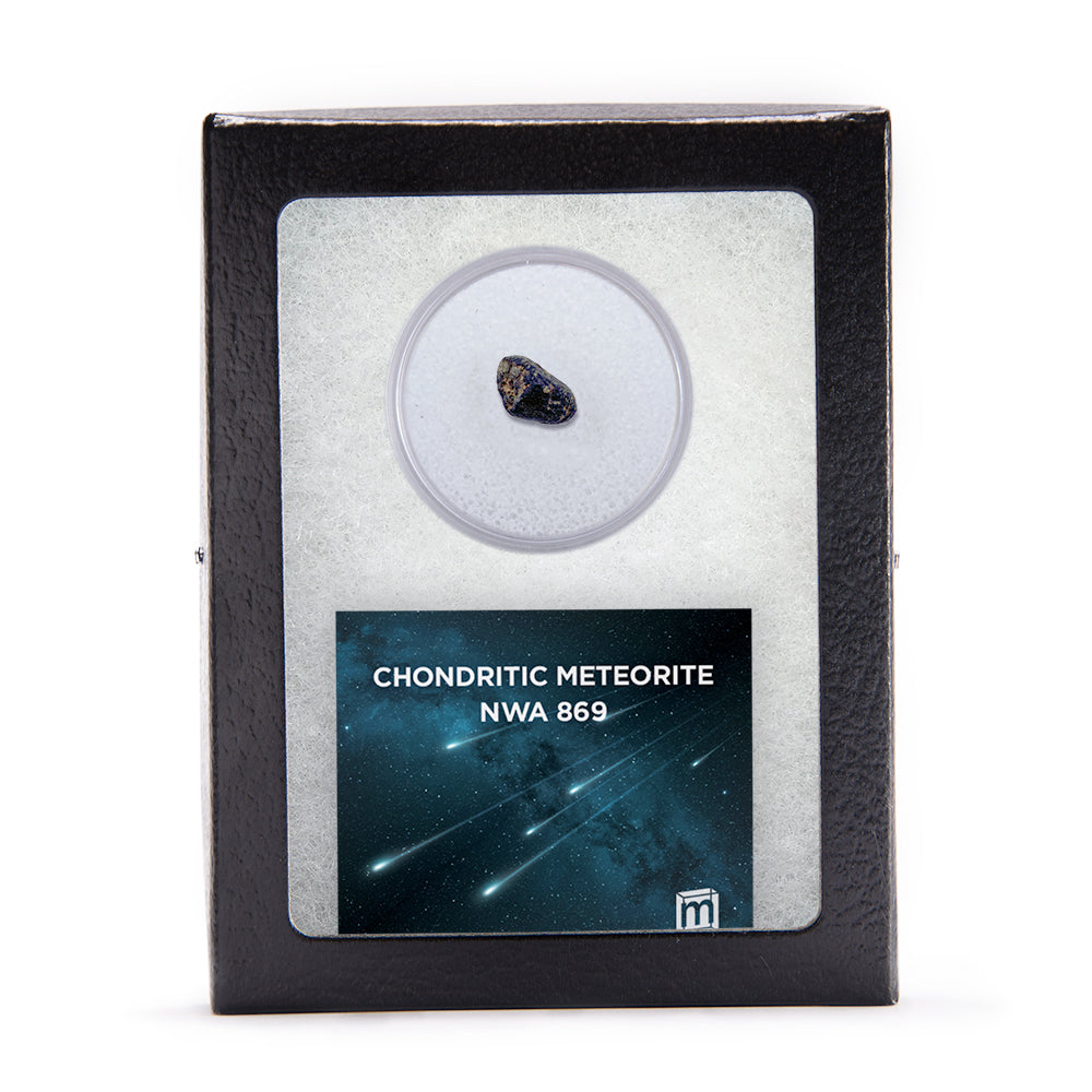 Chondritic Meteorite NWA 869 Collectible Specimen, Includes Display ...