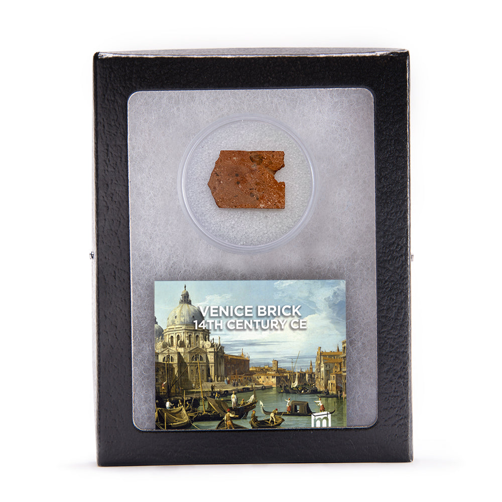 Venice Brick Collectible Specimen - Mini Museum