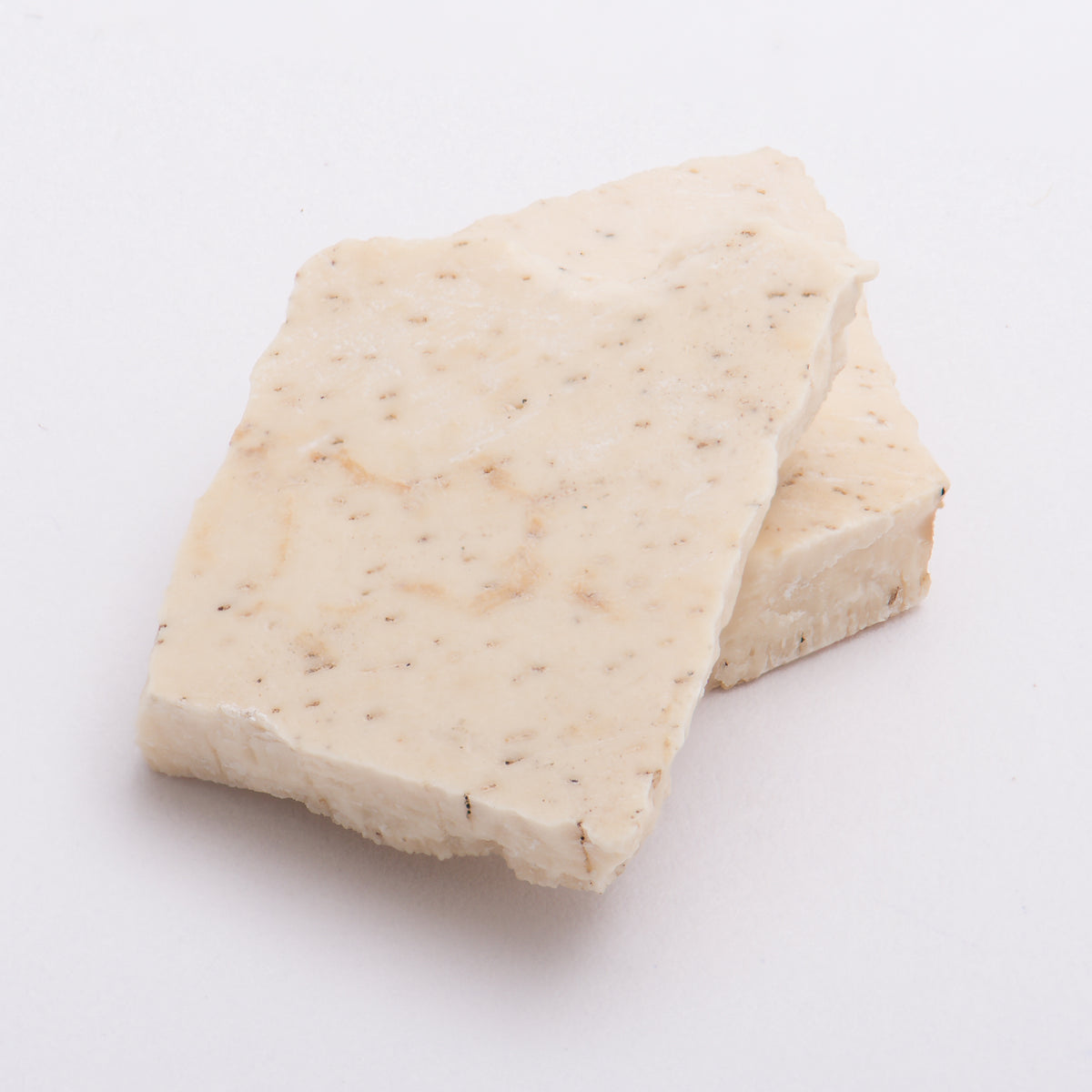 Elephant Bird Eggshell Fragment Collectible Specimen, Includes Display ...
