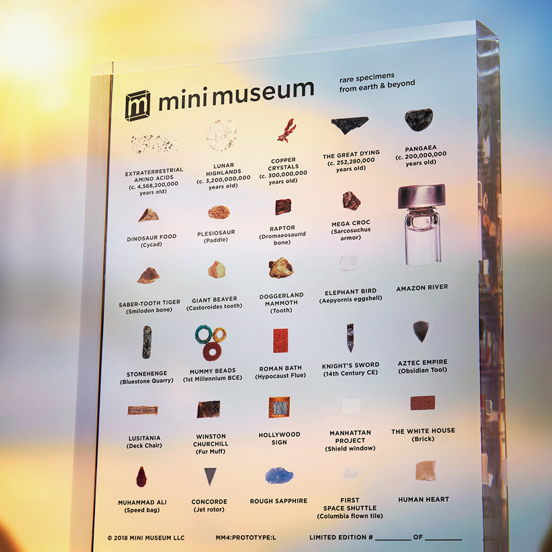 Mini Museum - Fourth Edition (LARGE - 29 Specimens) | Mini Museum